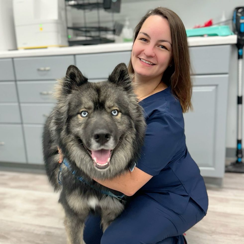 Pet Wellness Exam in Charlotte NC - Comprehensive Exam